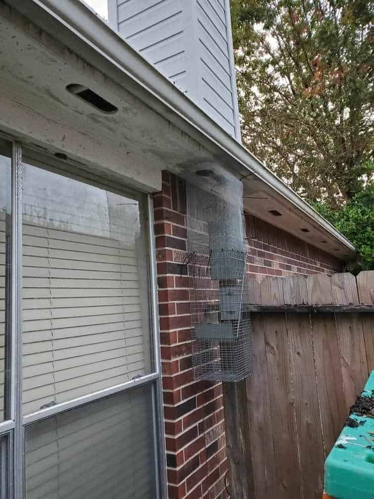 Gallery - FullScope Pest Control