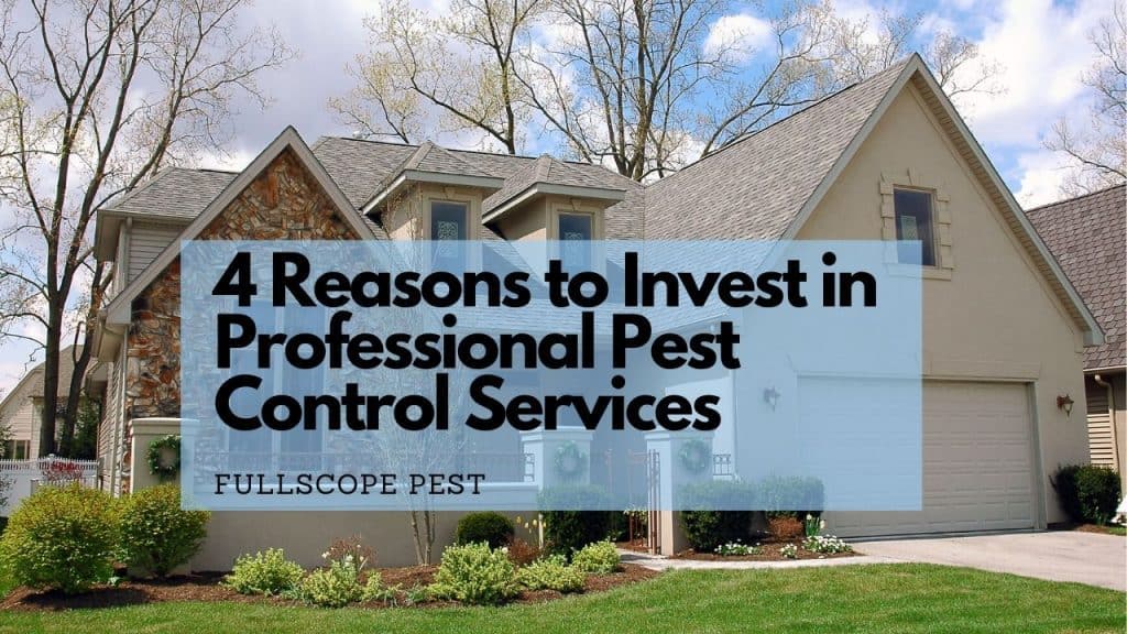 Professional Pest Control Services | FullScope Pest Control