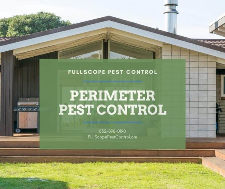 Perimeter Pest Management for Your Home - FullScope