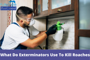 What Do Exterminators Use To Kill Roaches