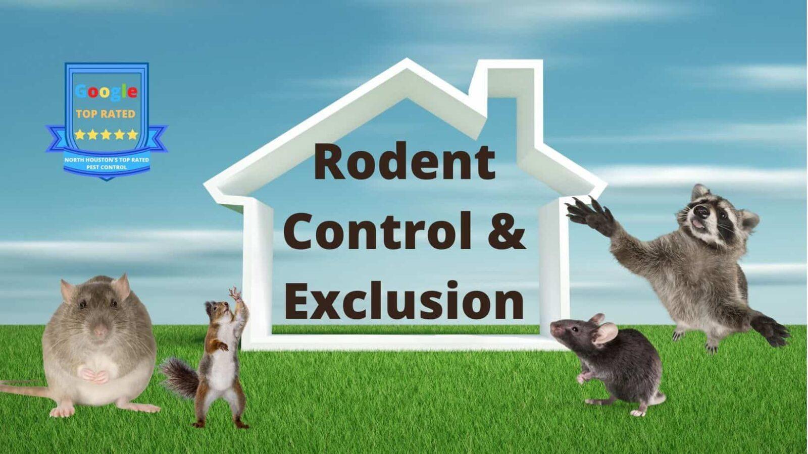 Porter Rodents Control & Removal Methods: Get Rid of Rodents ...