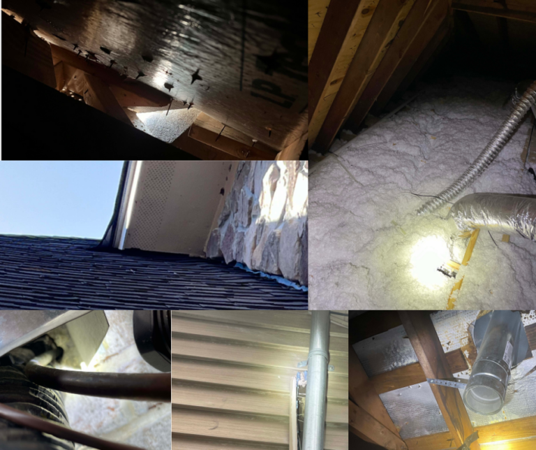 Effective Strategies for Preventing Rodent Entry Points: A ...