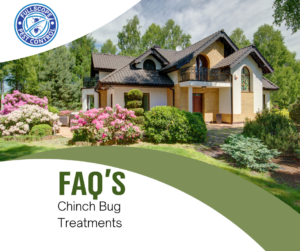 Frequently Asked Questions About Chinch Bug Treatments - FullScope Pest ...