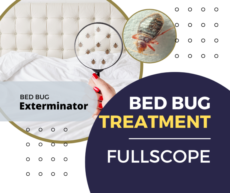 Expert Bed Bug Exterminator Services by FullScope