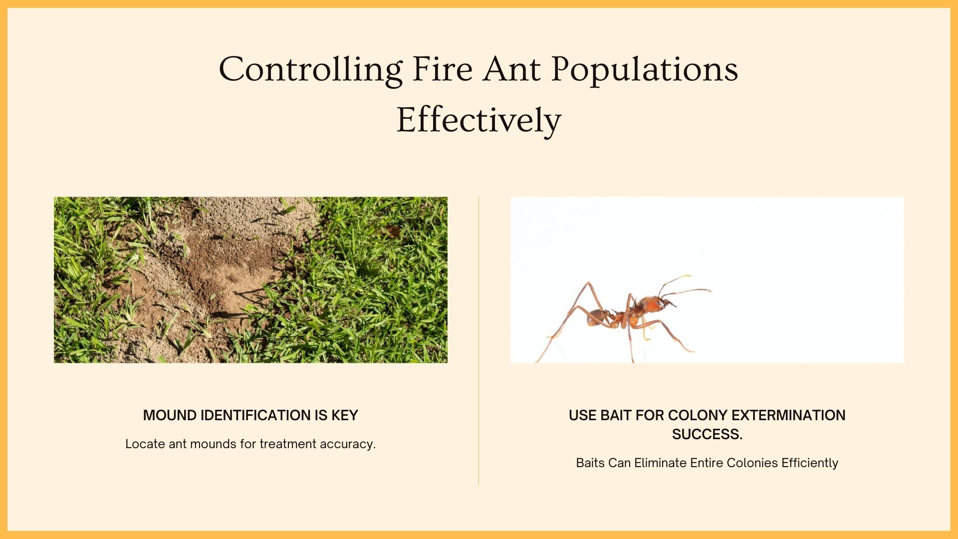 Fire Ant Control Methods That Work - FullScope Pest Control