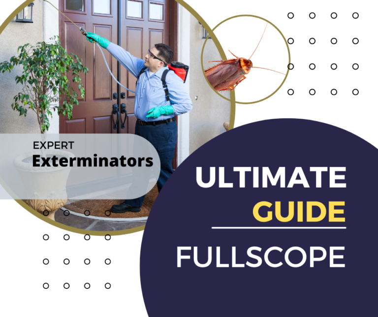 Expert Exterminators: Your Ultimate Pest Control Solution