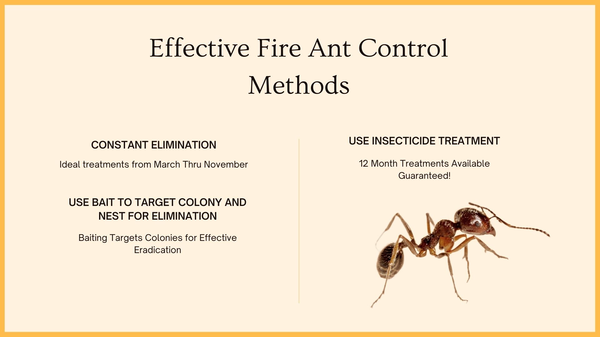 Fire Ant Control Methods That Work - FullScope Pest Control