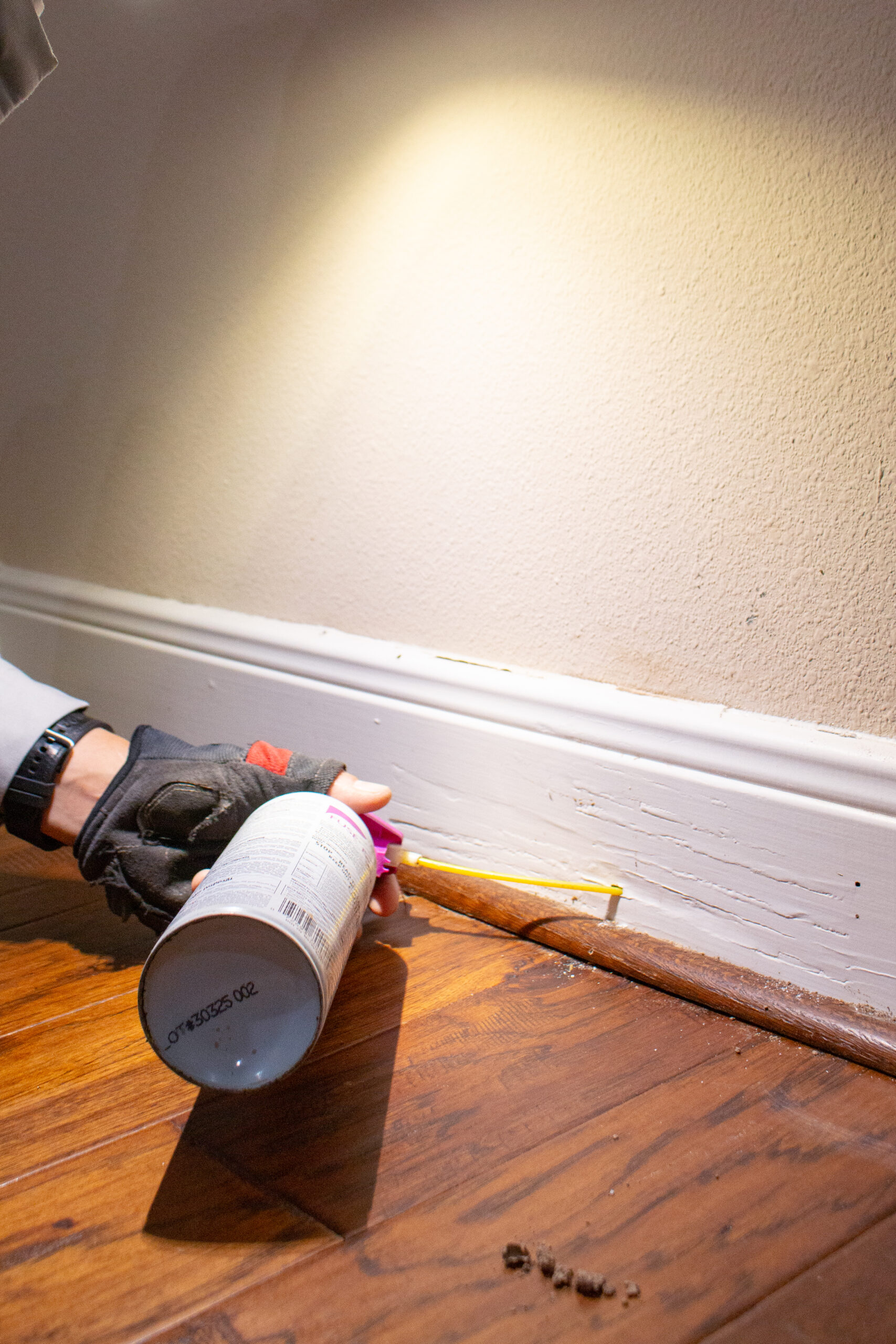 Signs and Solutions for Termites in Wall - FullScope