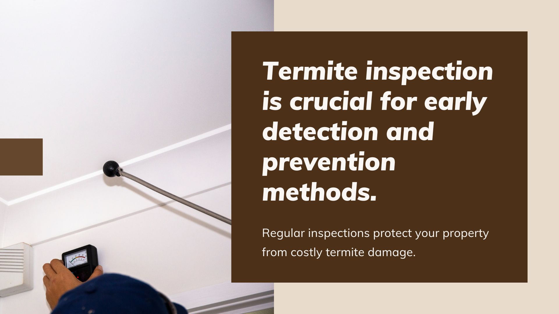 Complete Guide to Termite Inspection