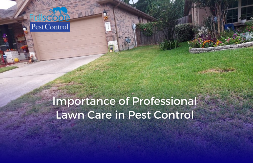 Importance of Professional Lawn Care in Pest Control - FullScope Pest ...