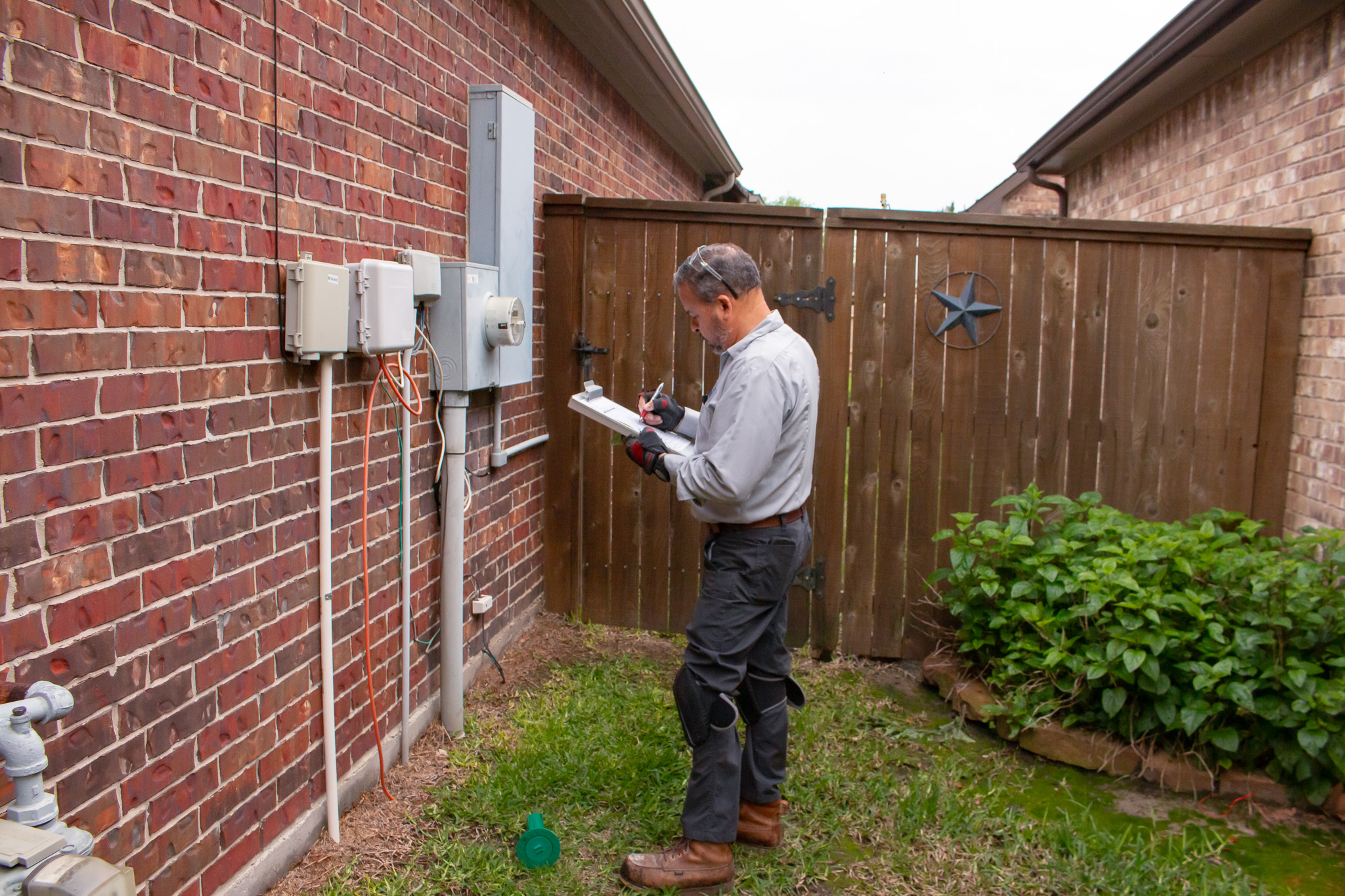 Signs and Solutions for Termites in Wall - FullScope
