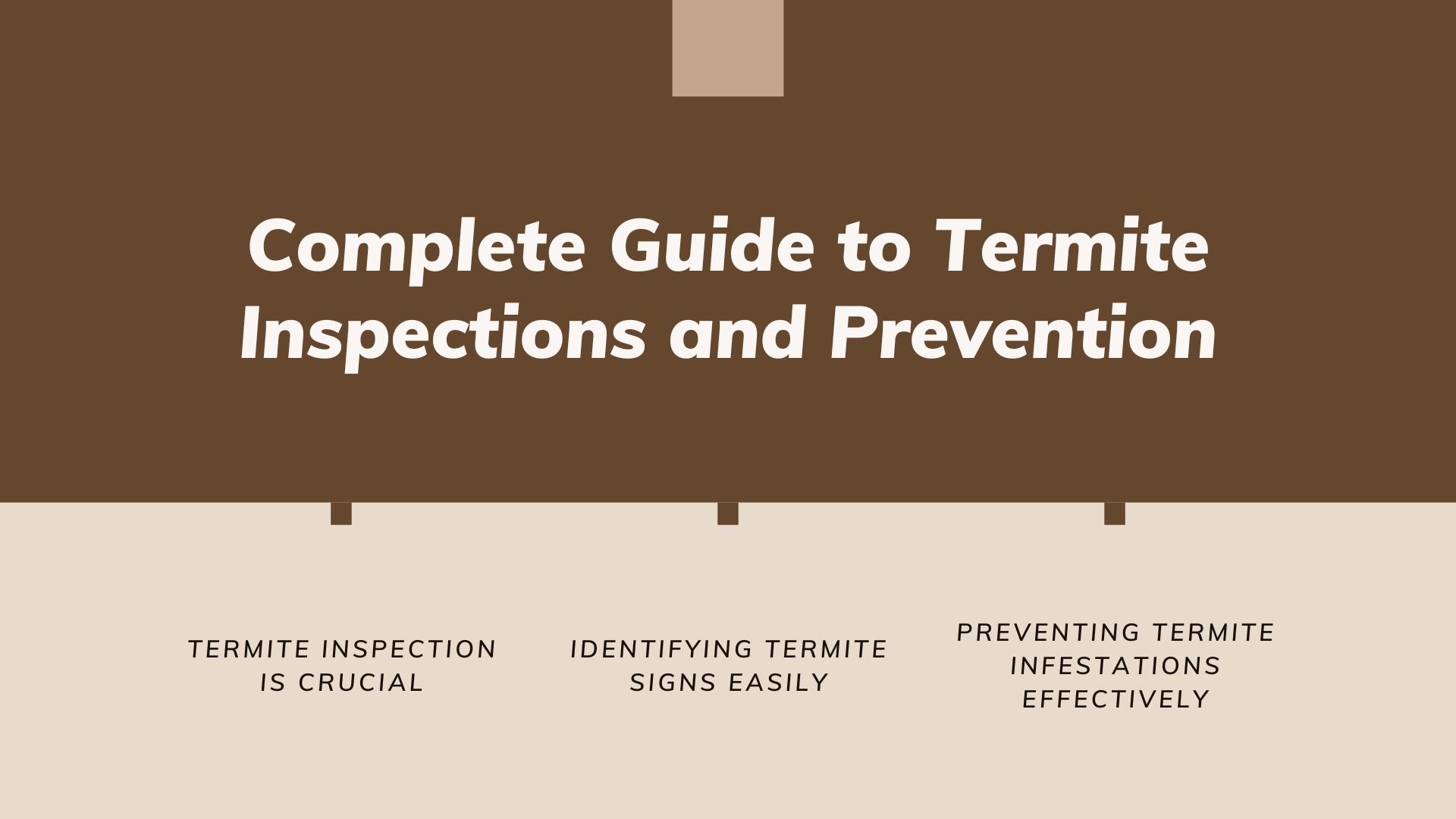 Complete Guide to Termite Inspection
