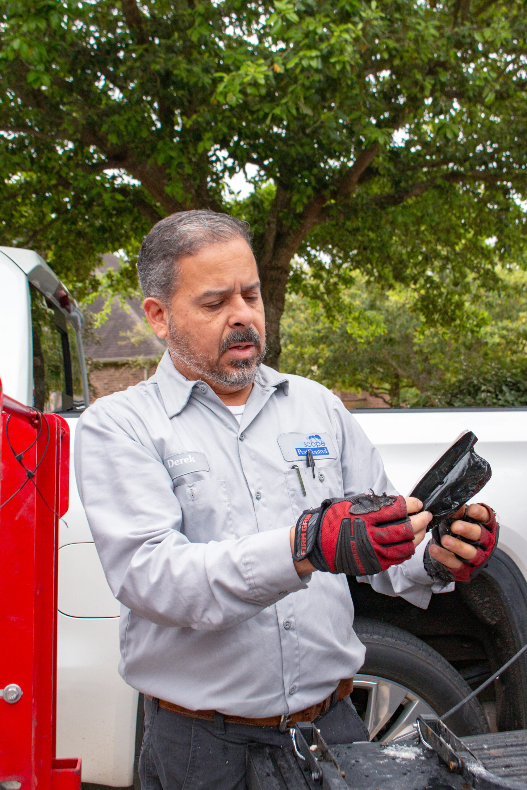 Complete Guide to Termite Inspection