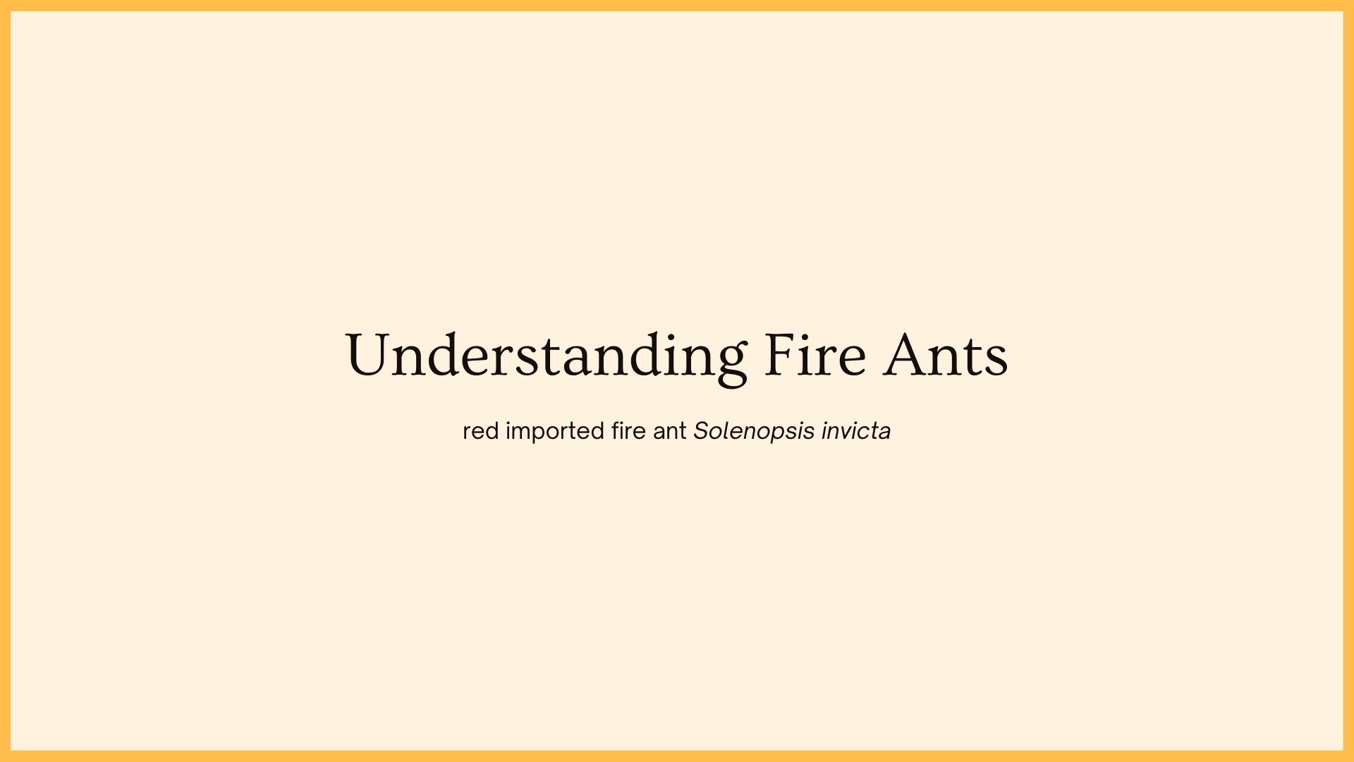 Fire Ant Control Methods That Work - FullScope Pest Control