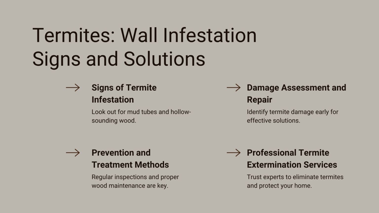Signs and Solutions for Termites in Wall - FullScope