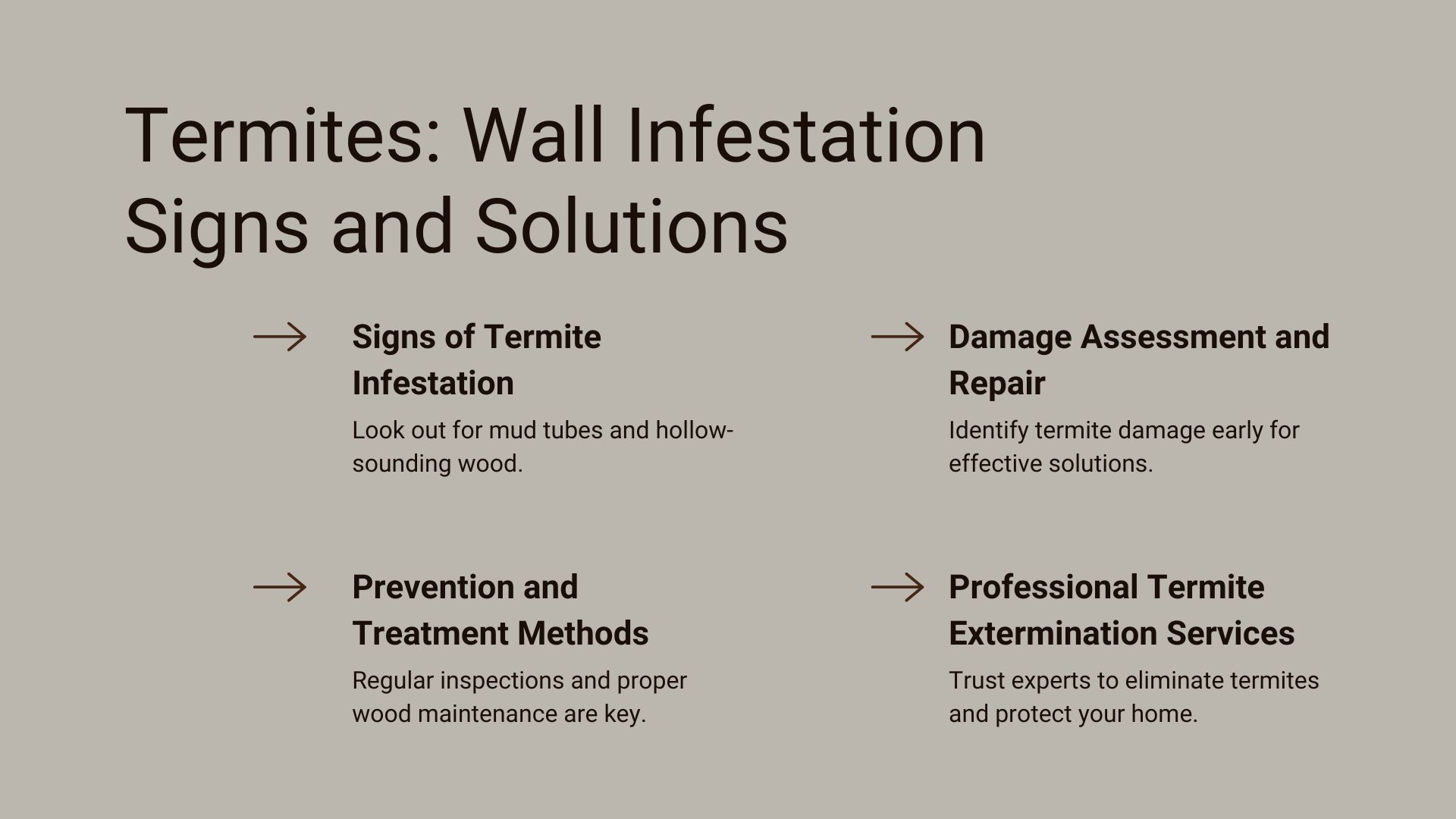 Signs and Solutions for Termites in Wall - FullScope