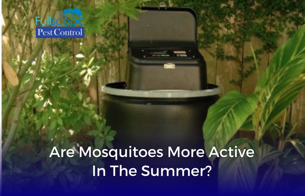 Preventing and Managing Roof Rats - FullScope Pest Control