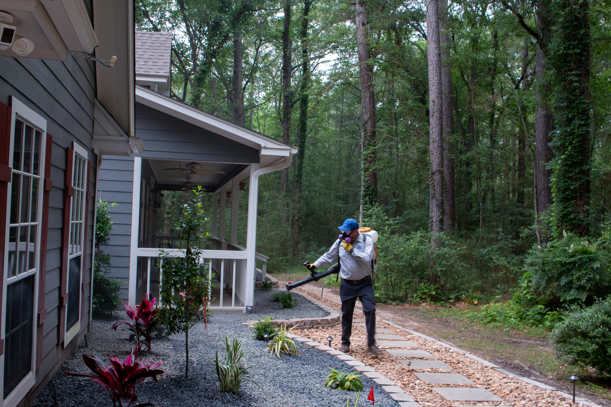 Why Mosquitoes Are In Your Home - FullScope Pest Control