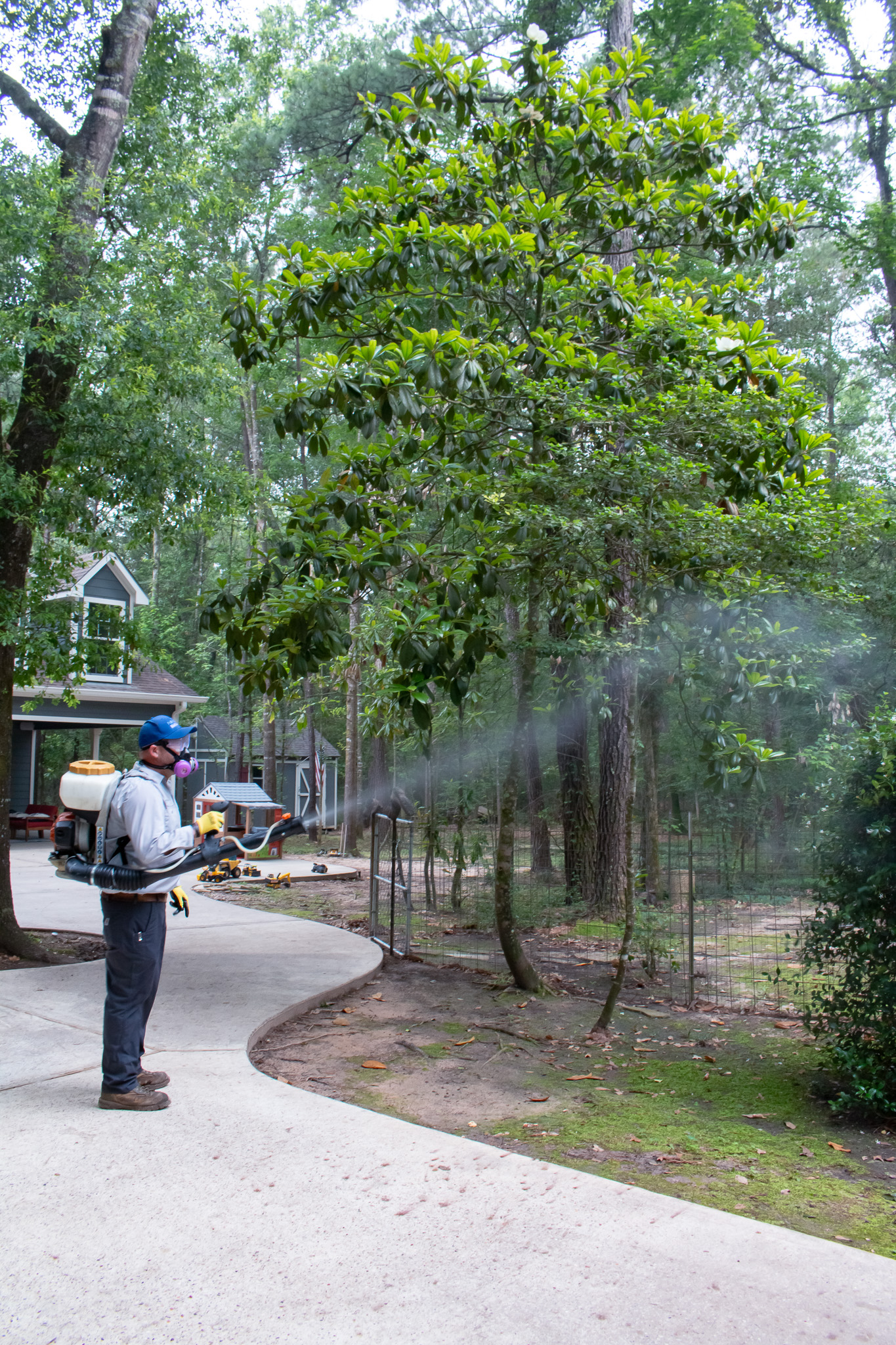 Mosquito Control Services - Mosquito Treatment Options - FullScope Pest ...