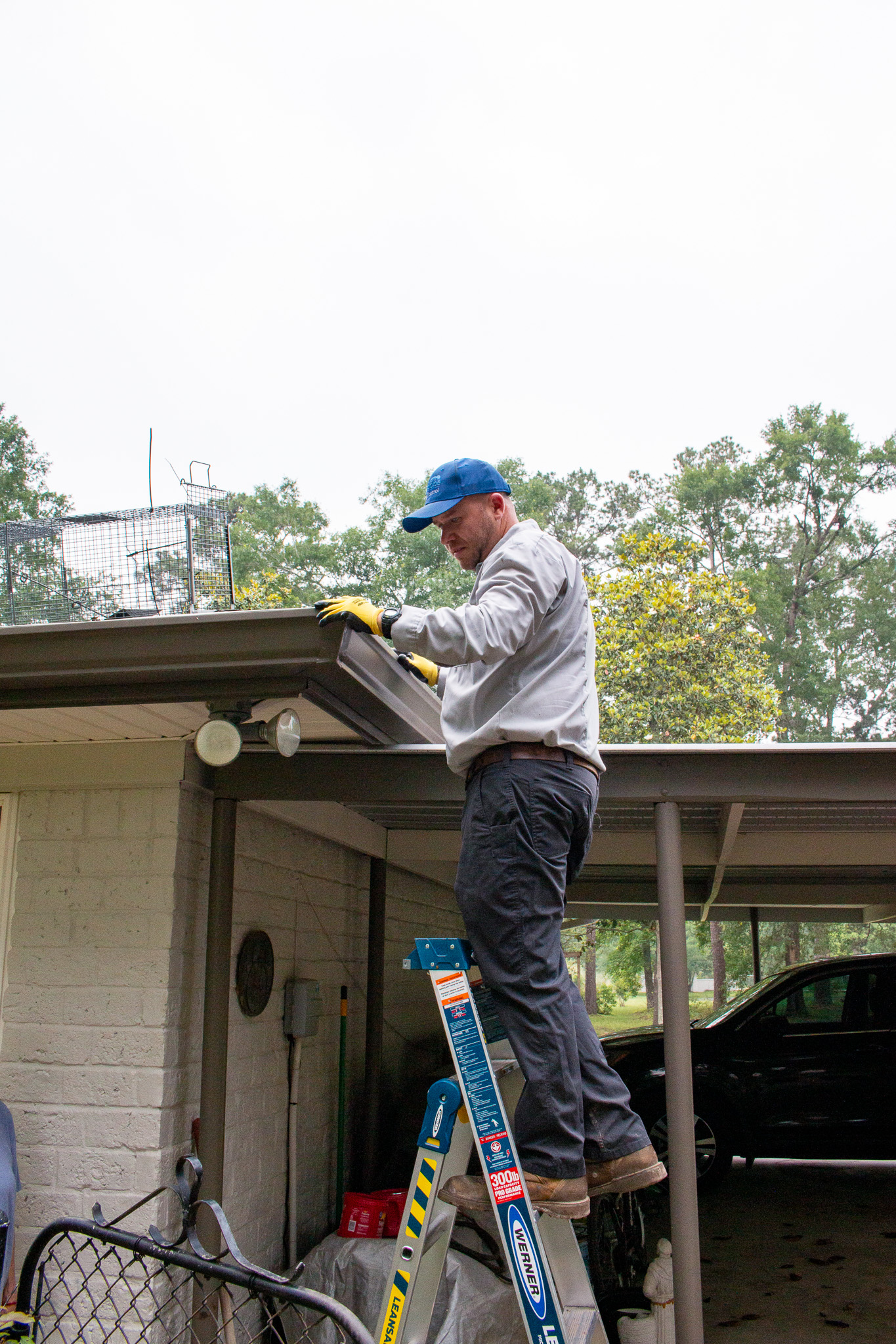 Ultimate Guide: Getting Rid of Rats in 2024 - FullScope Pest Control