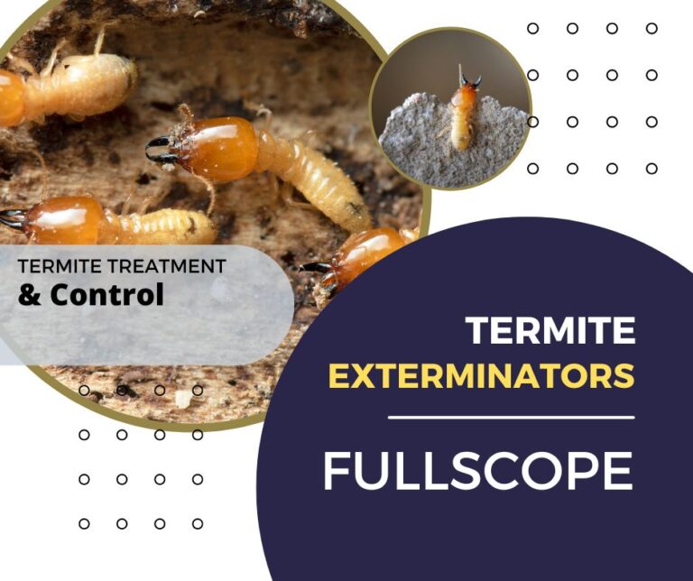 Termite Treatment & Control | Termite Exterminator - FullScope Pest Control