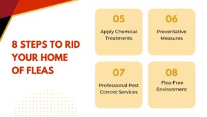 Fleas in House: 8 Essential Elimination Steps to Get Rid of Fleas