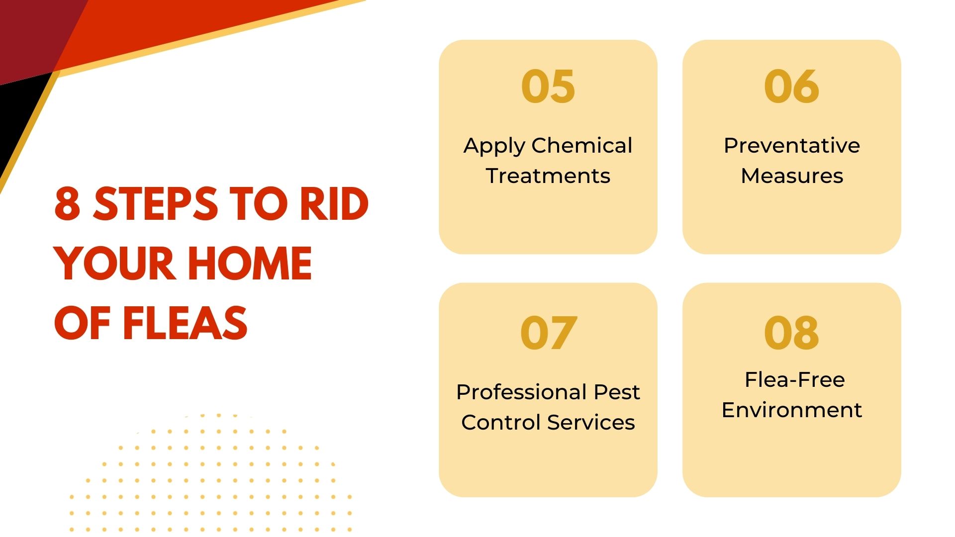 Fleas in House: 8 Essential Elimination Steps