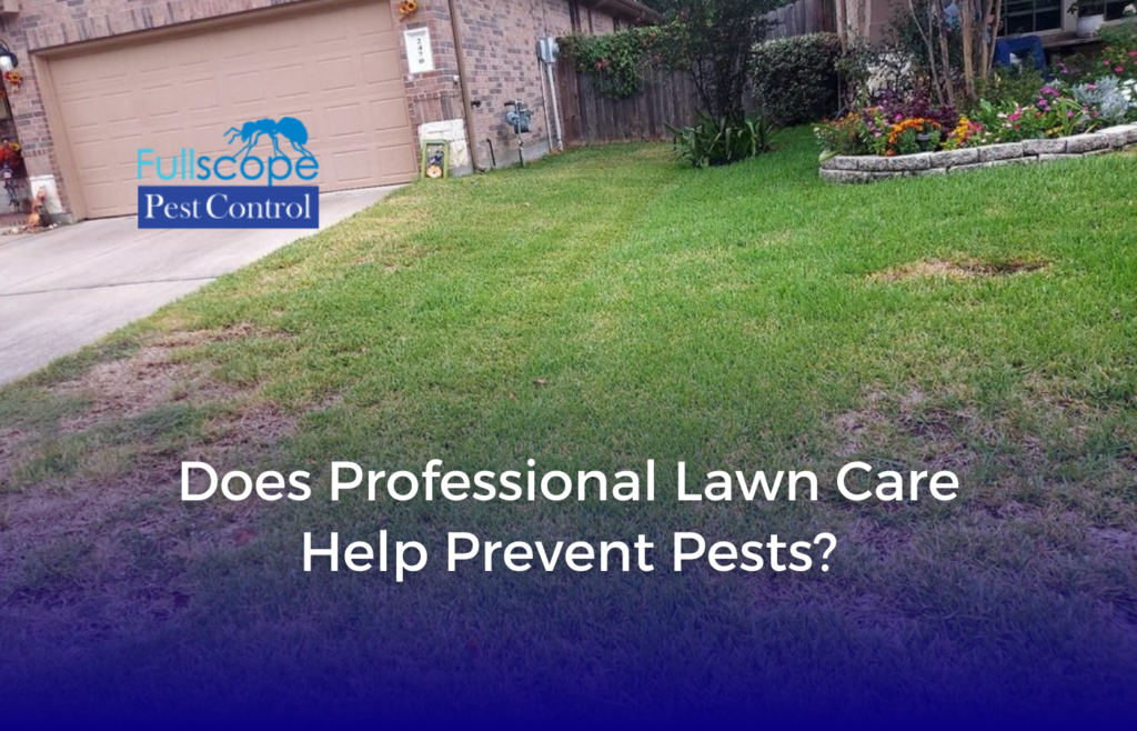 Does Professional Lawn Care Help Prevent Pests? - FullScope Pest Control