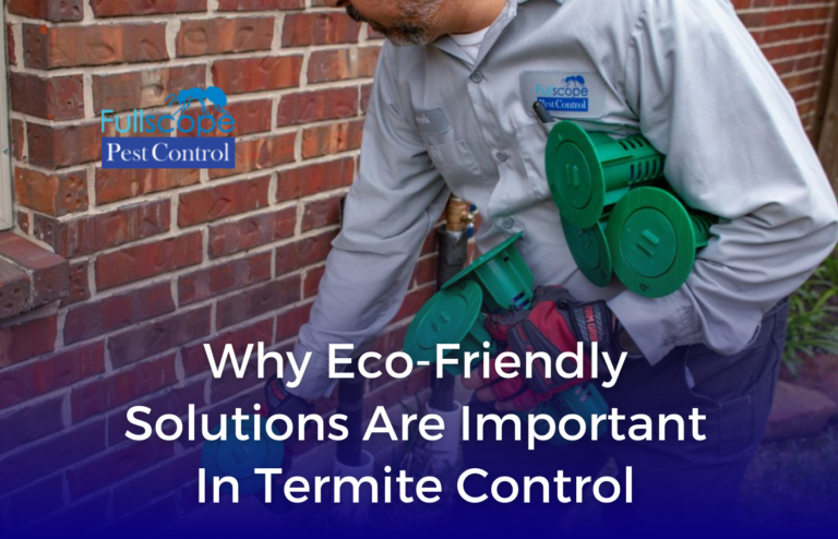Why Eco-Friendly Solutions Are Important In Termite Control - FullScope ...