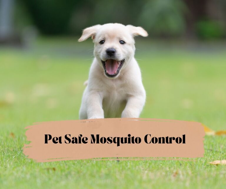Pet Safe Mosquito Control for Yard: The Ultimate Guide - FullScope Pest ...